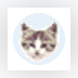 EF File Catalog (free version) download for PC